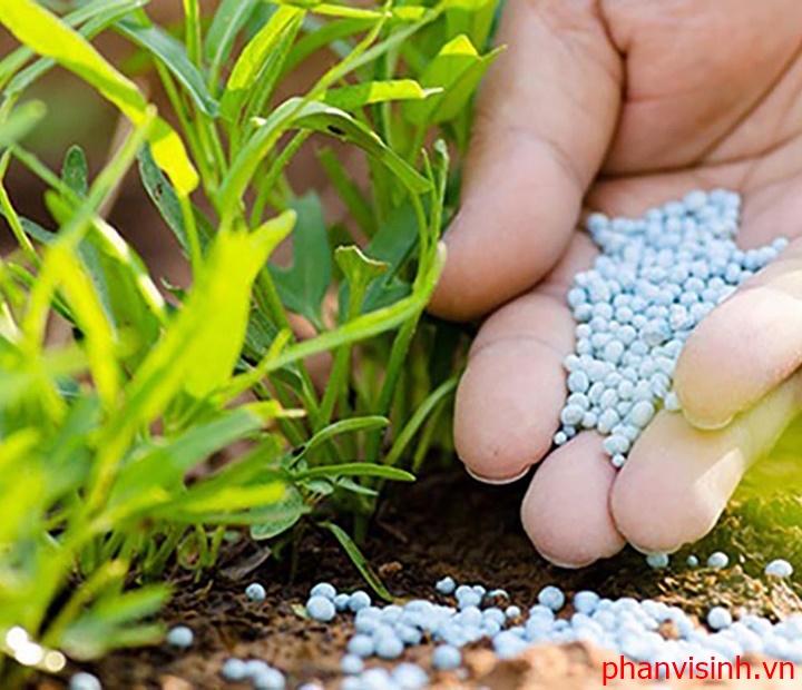 PHÂN DAP CÓ TÁC DỤNG GÌ VÀ NHỮNG ĐIỀU CẦN BIẾT